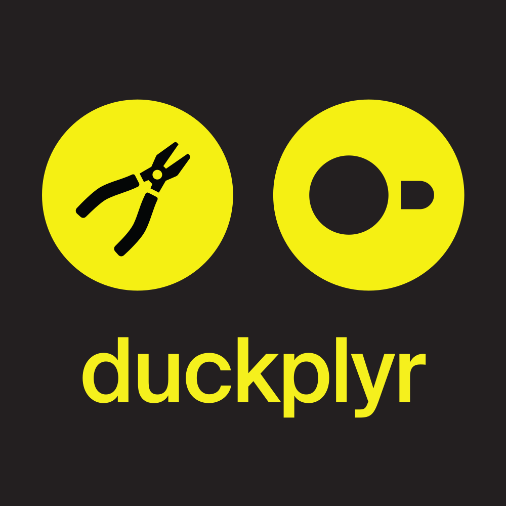 Needs logo · Issue #249 · tidyverse/duckplyr · GitHub